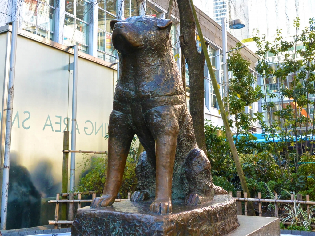 “The faithful dog,” Hachiko. A Shibuya symbol that continues to be ...