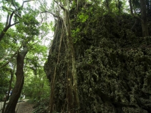 Okinawa’s healing spot that you definitely want to visit World Heritage ...
