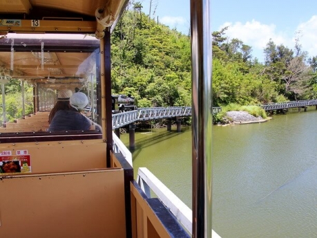 Amazing "Neo Park Okinawa” (located in Nago City) is a different kind ...