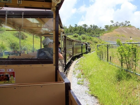 Amazing "Neo Park Okinawa” (located in Nago City) is a different kind ...